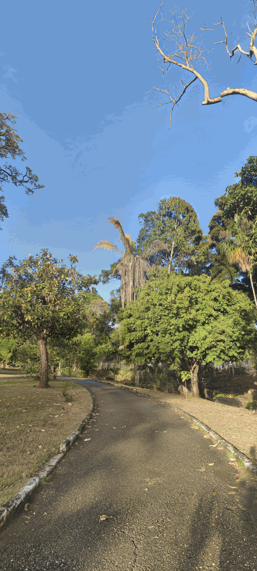 The Inside Scoop on EdVenture | Kwasi Dev